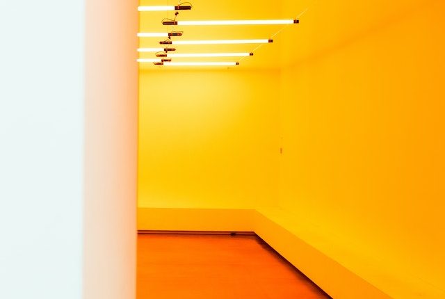 Organic Light Emitting Diodes Oleds