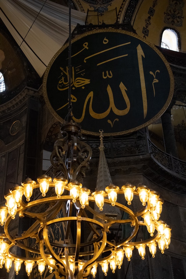 Organic Light Emitting Diodes (OLEDs)